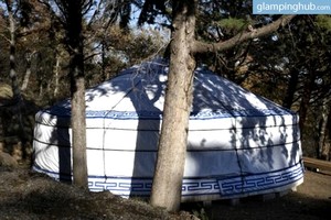 Yurt Camping Rentals | Glamping Hub