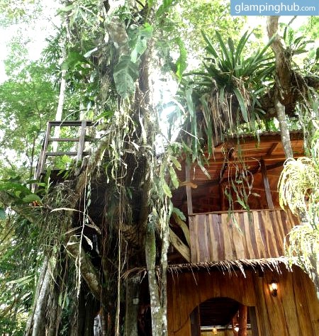 Treehouse Costa Rica | glamping Treehouse Playa Negra | glamping
