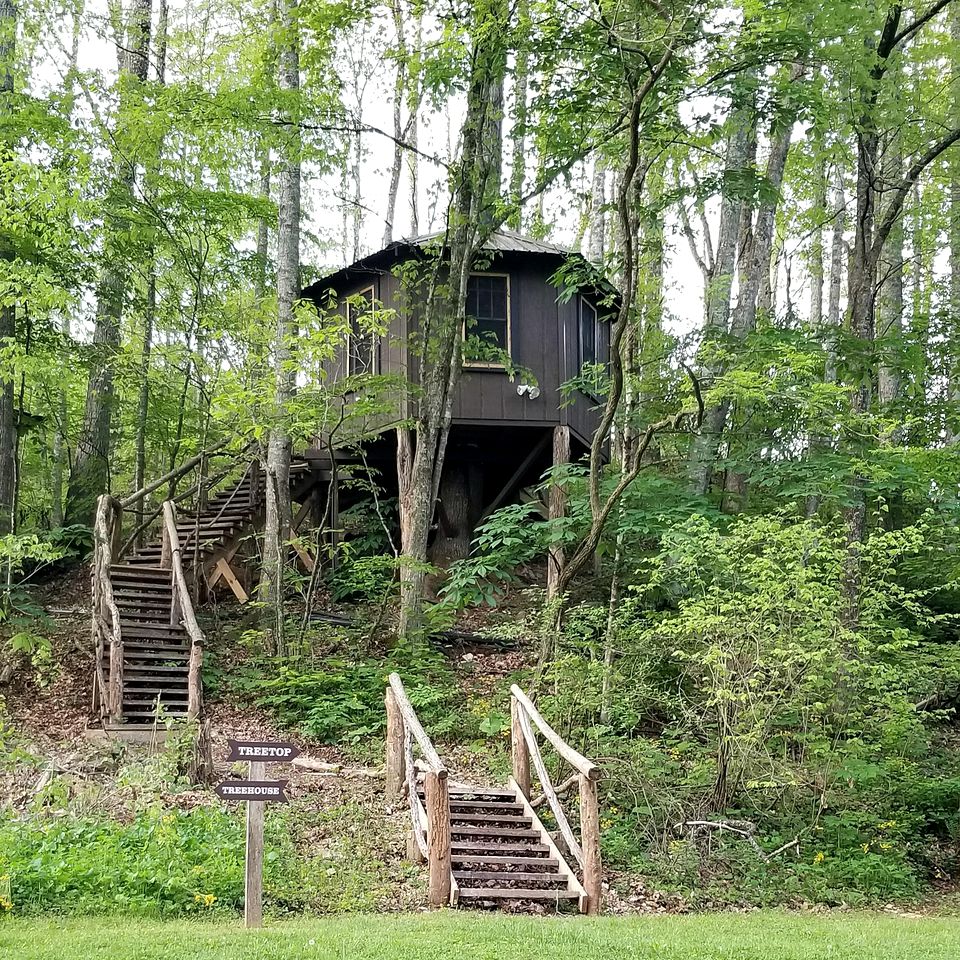 Tree Top Cabin, Tree Houses, Crumpler, United States of America ...
