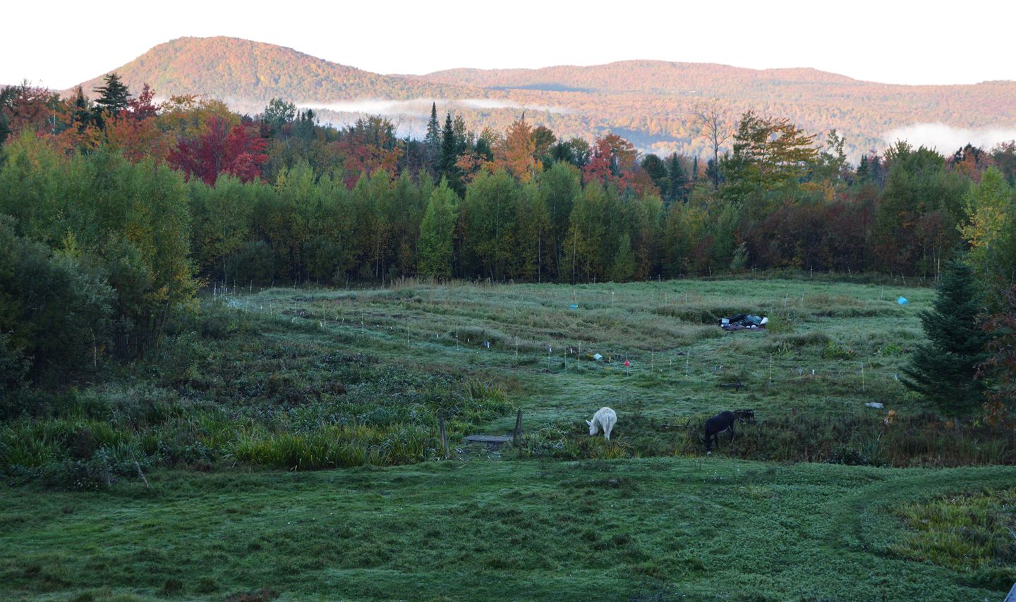 Cottage Getaway in Sheffield, Vermont