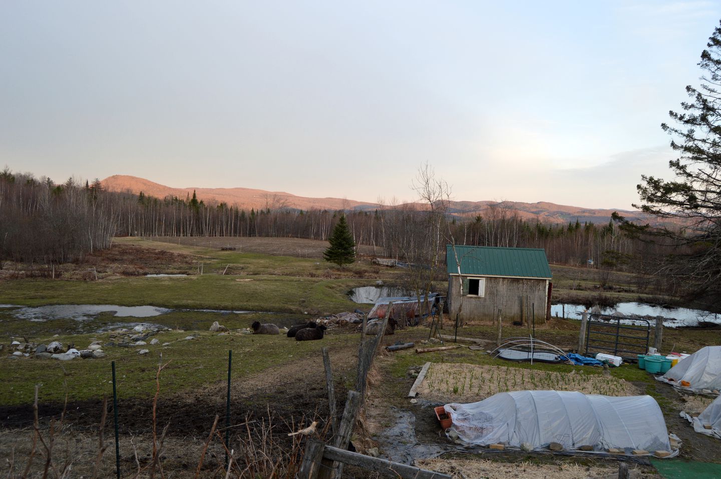 Cottage Getaway in Sheffield, Vermont