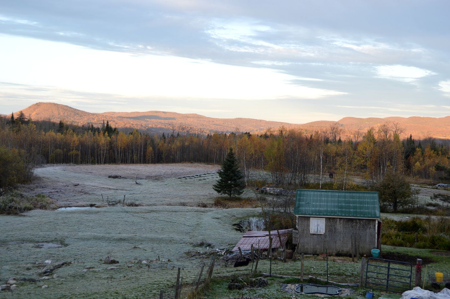 Cottage Getaway in Sheffield, Vermont