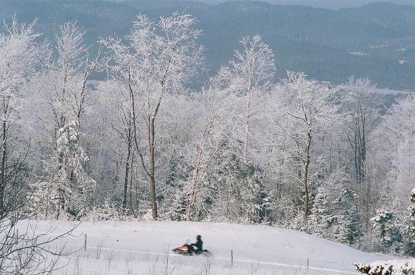 Cottage Getaway in Sheffield, Vermont