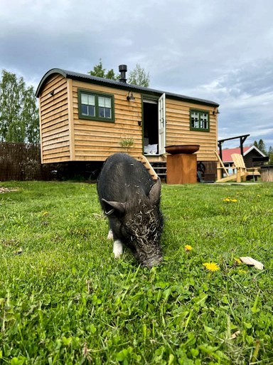 WonderInn Riverside, Tiny Houses 83908, Fenstad, Norway | Glamping Hub