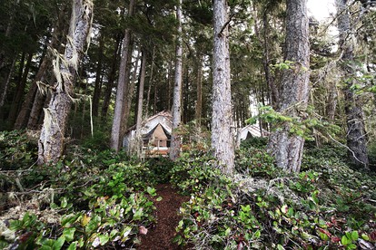 Whales & Wilderness Glamping, Safari Tents, Swanson Island, Canada ...