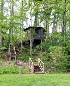 Best Tree Houses Rentals: North Carolina | Glamping NC