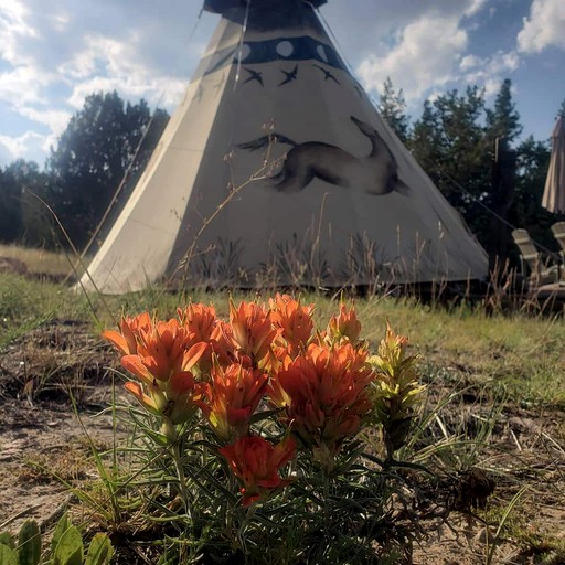 The Runaway Ranch, Tipis 98585, Beulah, United States of America ...