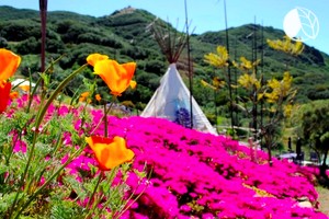Tipis | Tipi Glamping | Tipi Luxury Camping