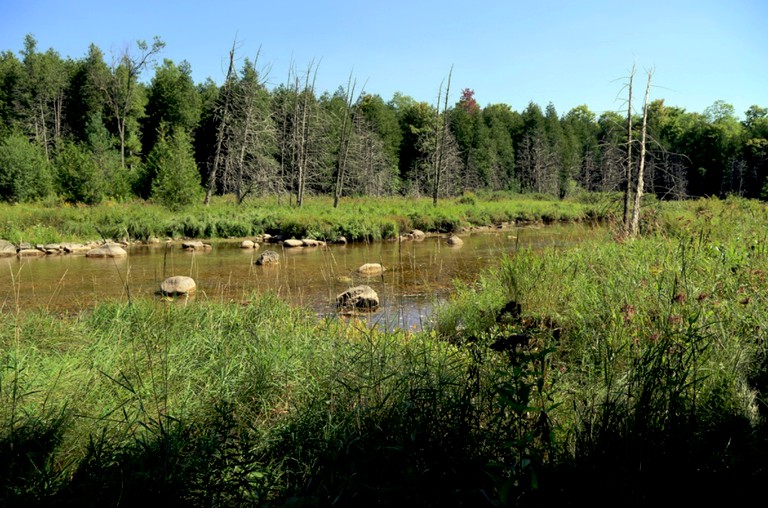 New Earth Estate - Beautiful Chalet, Cabins, Markdale, Canada ...