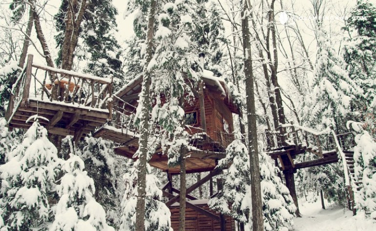 Tree House Rental in Quebec, Canada