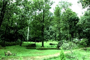 Luxury Treehouse in India | Luxury Camping in India