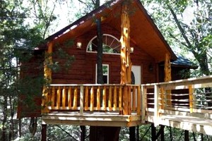 Treehouses in the Midwest