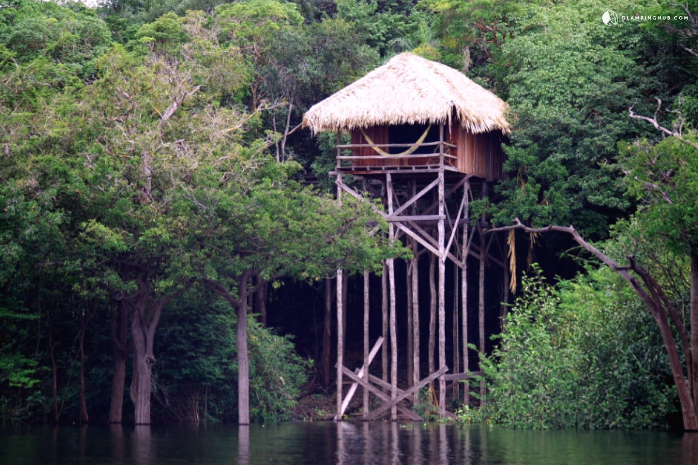 Bungalow Lodges in Amazon Rainforest near Manaus
