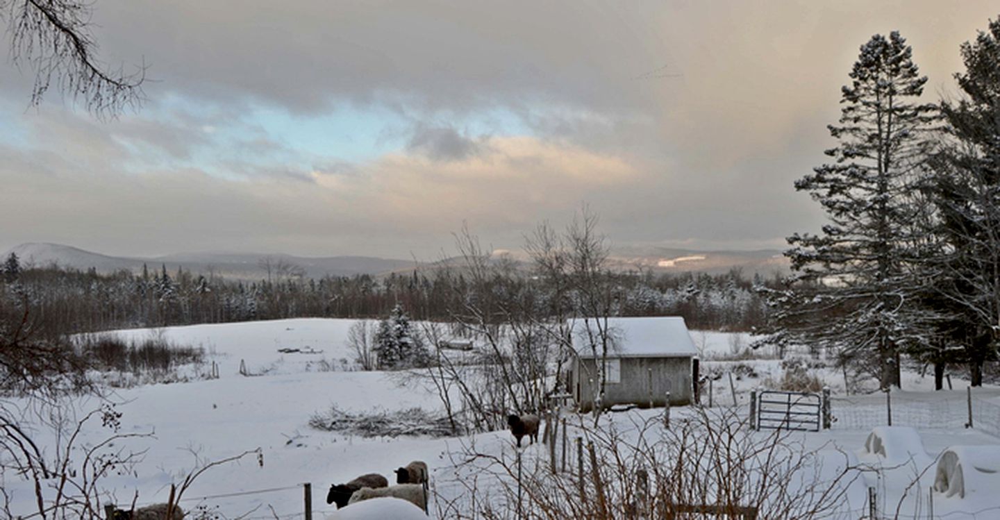 Cottage Getaway in Sheffield, Vermont