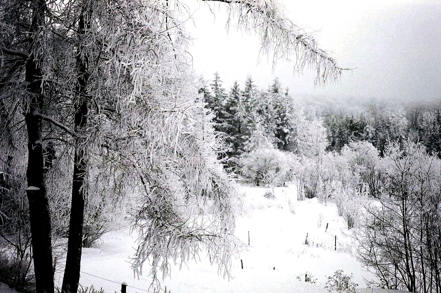 Cottage Getaway in Sheffield, Vermont