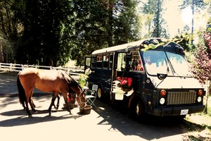 Cabooses | Caboose Glamping | Caboose Luxury Camping