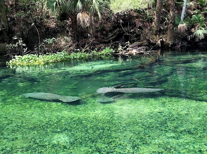 Captain's Room | Lake Helen, Florida | Glamping Hub