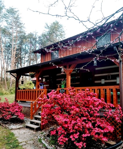 Cozy Country Cabin | Hot Tub + Outdoor Charm | Kodak, Tennessee ...