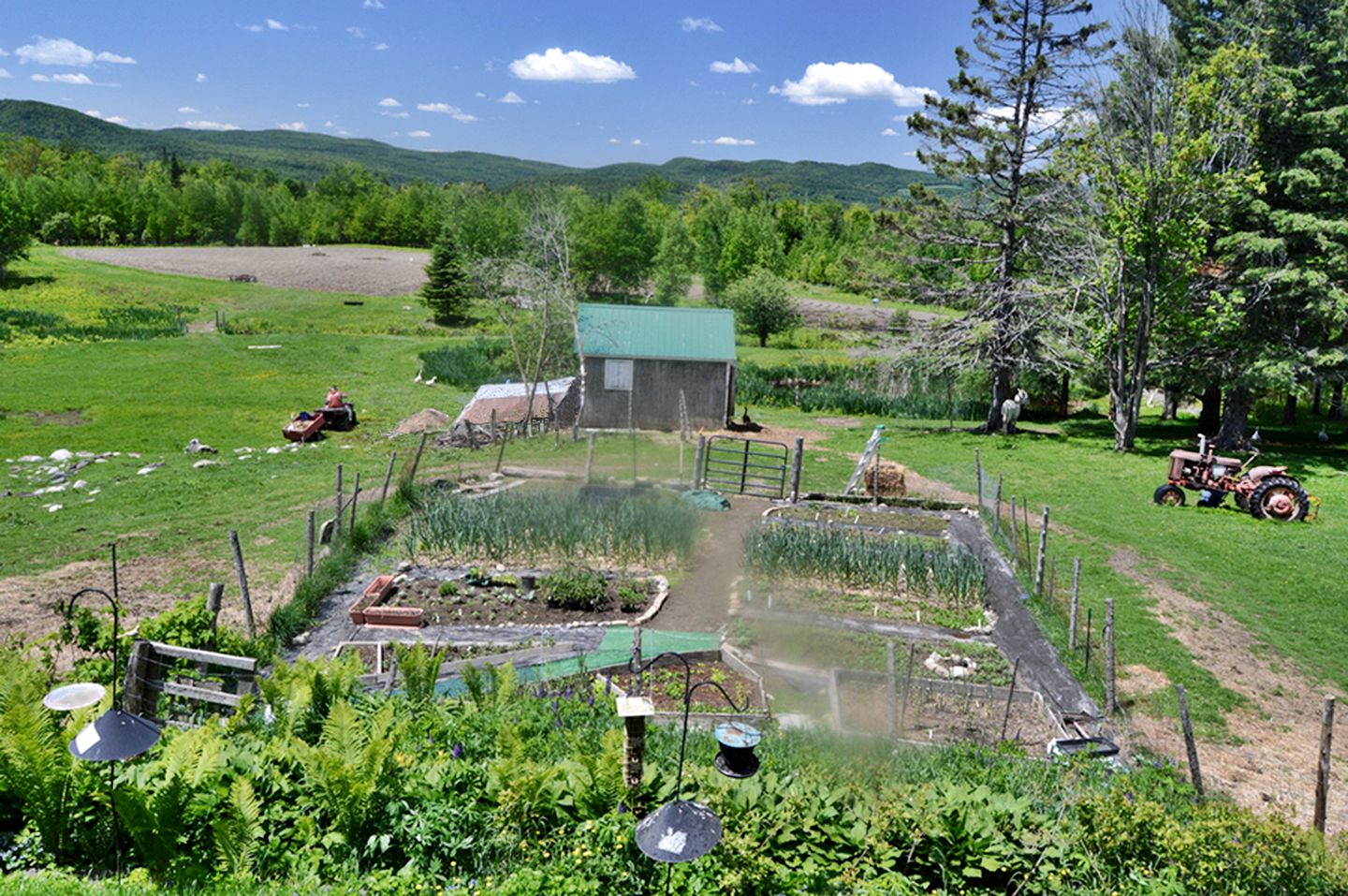 Cottage Getaway in Sheffield, Vermont