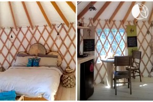 Yurt Camping Rentals | Glamping Hub