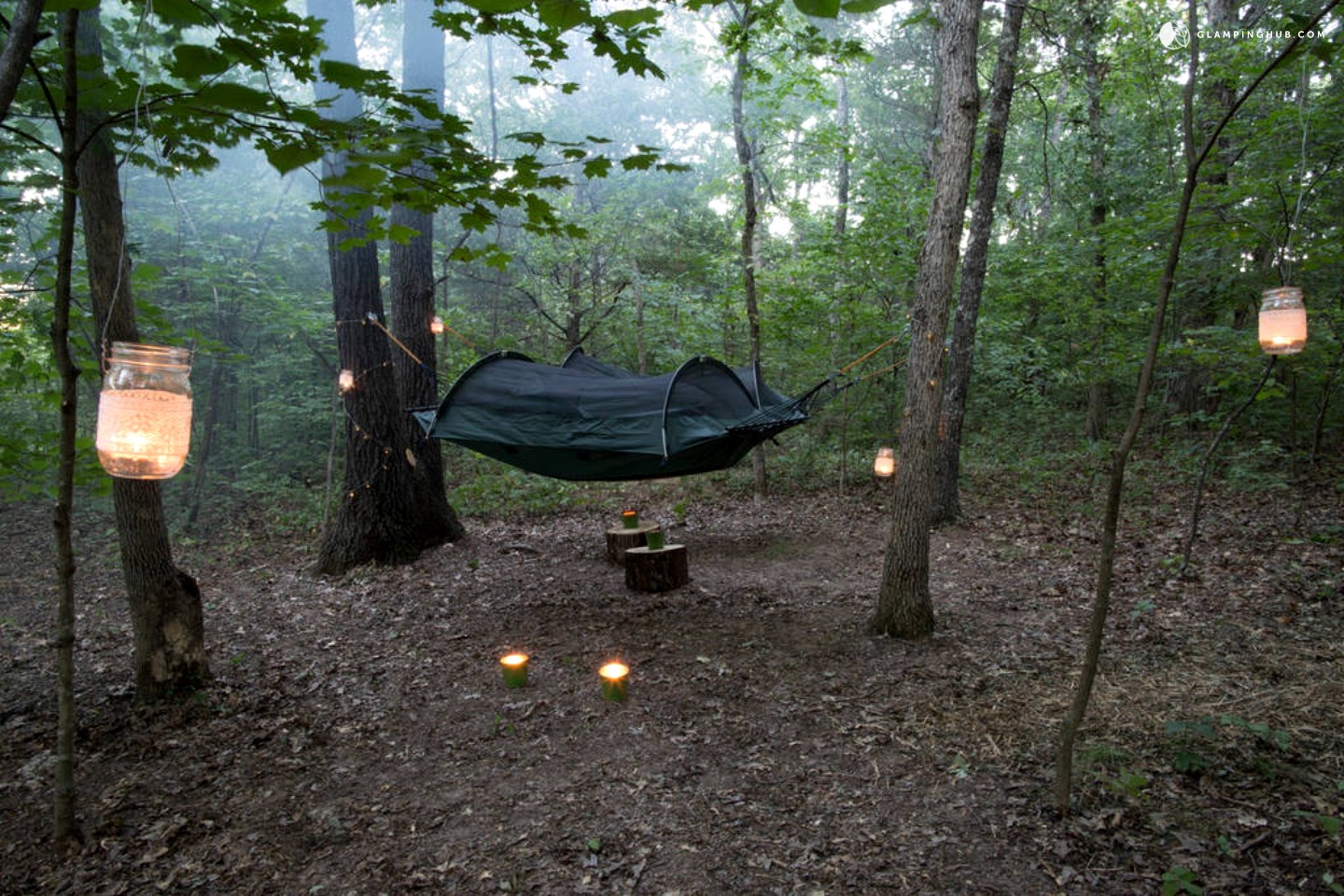 Hanging Tree Tent Rentals in 16-Acre Forest Park Hills, Missouri