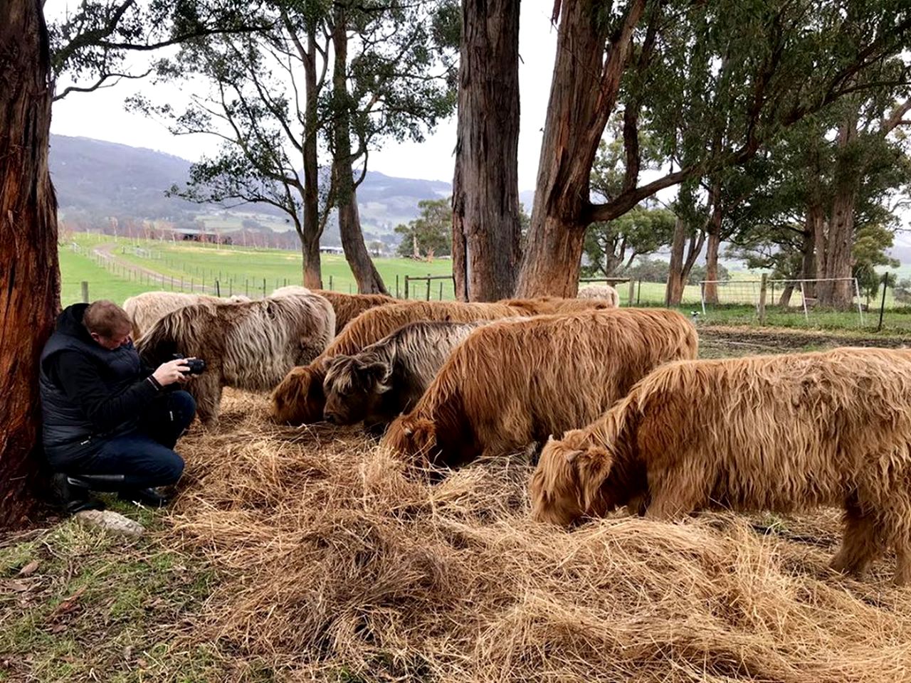 Luxury Farm Stay, Tasmania | Getaways in Huon Valley