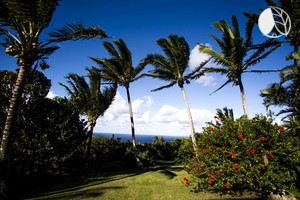 Secluded Vacation Rental in Huelo, Hawaii