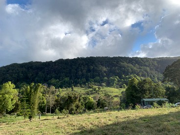 Stanwell Tops Camp Grounds | NSW Holidays