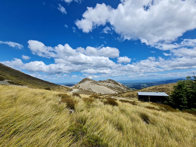 Lake Stella 3 - Hawke Eye, Tiny Houses, Mount Lyford Village, New ...