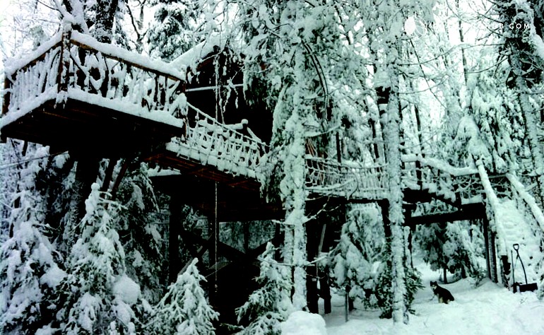 Tree House Rental in Quebec, Canada