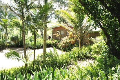 Stanwell Tops Camp Grounds | NSW Holidays