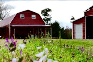 Barns | Barn Glamping | Barn Luxury Camping