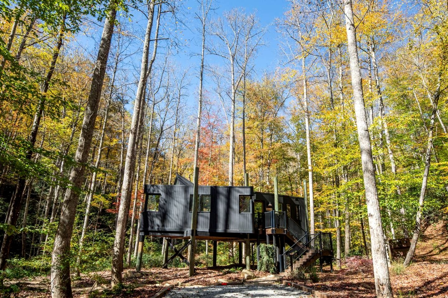 Luxury Glamping Resort Near Brevard | Treehouses + Waterfall | Brevard ...