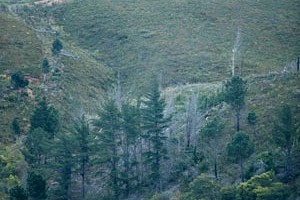 Glamping South Africa | Luxury Camping South Africa