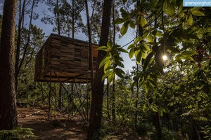 Tree Houses | Tree House Glamping | Tree House Luxury Camping