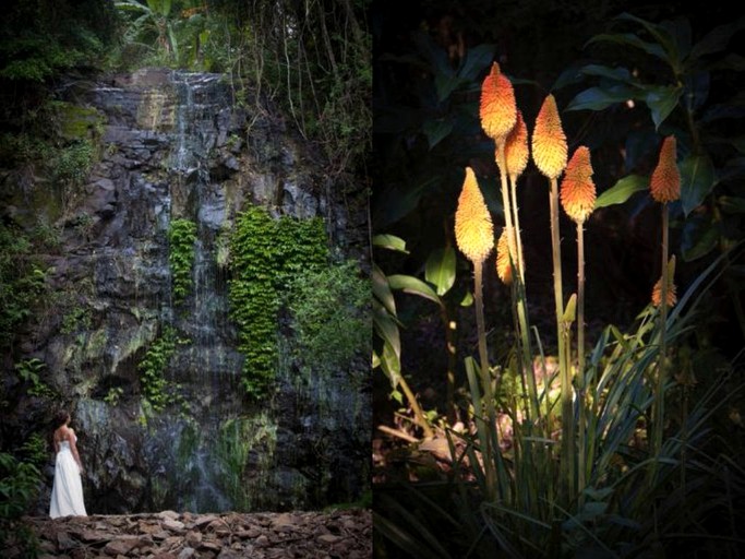 Nimbin Waterfall Retreat, Cabins, Nimbin, Australia | Glamping Hub
