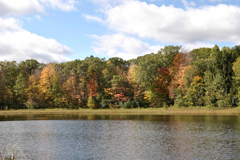 Pond View Getaway, Barns, Frederic, United States of America | Glamping Hub