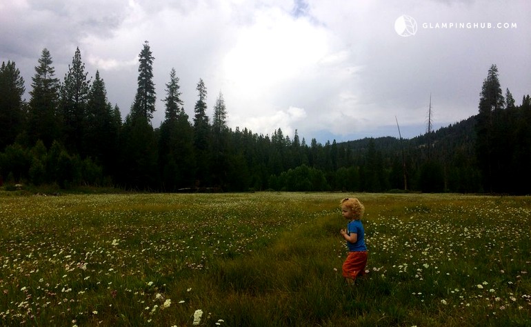 Secluded Cabin in Ponderosa, California