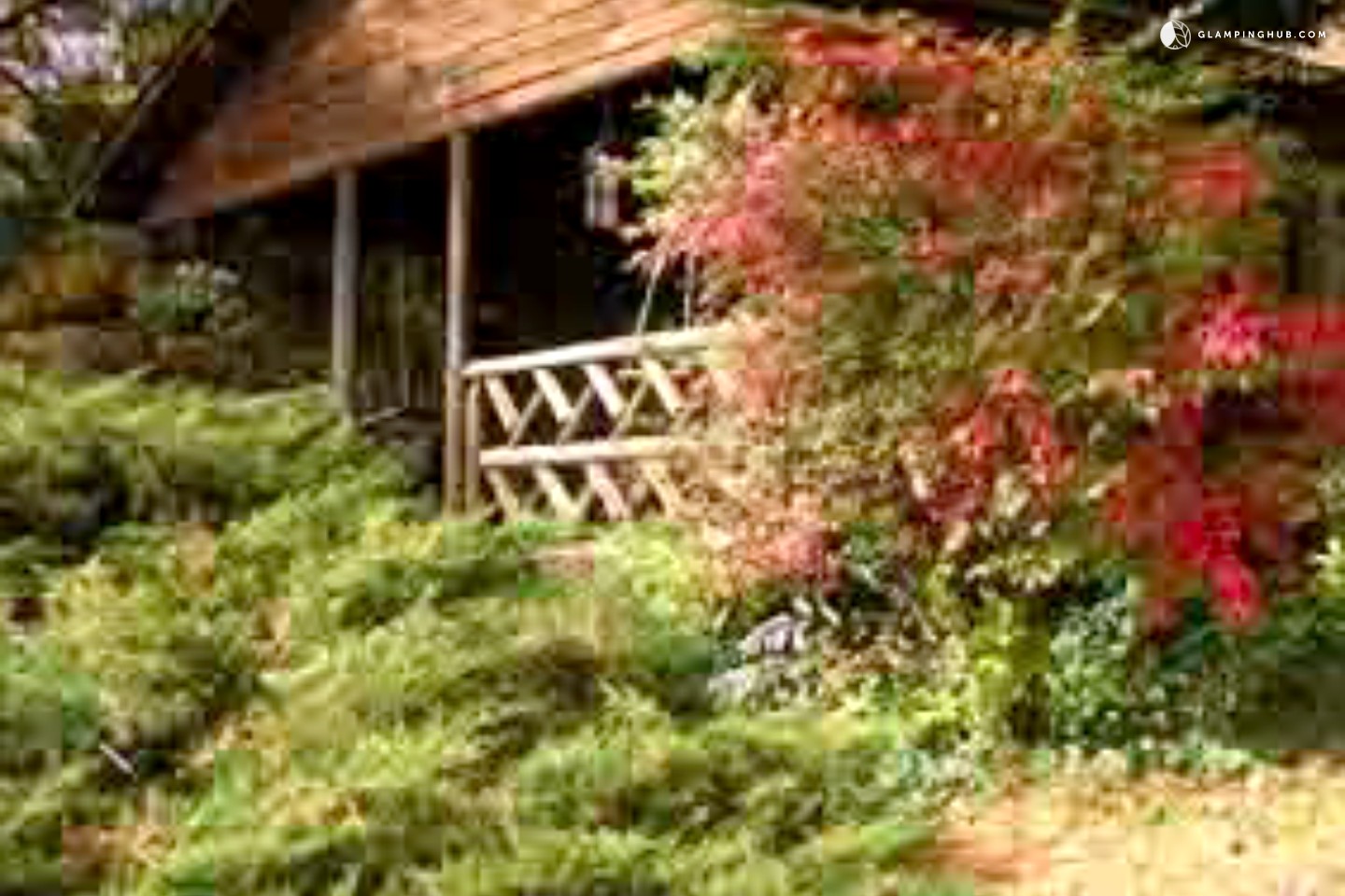 Luxury Cabin New York