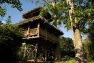 Luxury Treehouses in Tanzia | Glamping in Tanzania