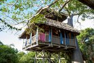 Luxury Treehouses in Tanzia | Glamping in Tanzania