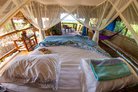 Luxury Treehouses in Tanzia | Glamping in Tanzania