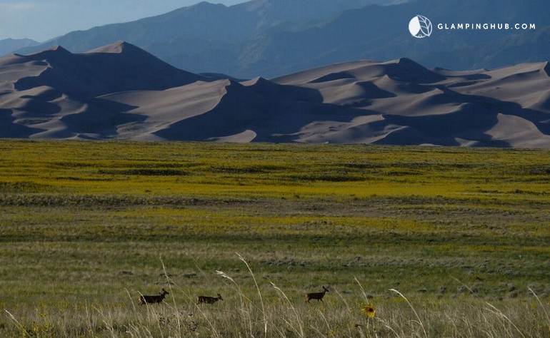 Family Dude Ranch Vacations Colorado