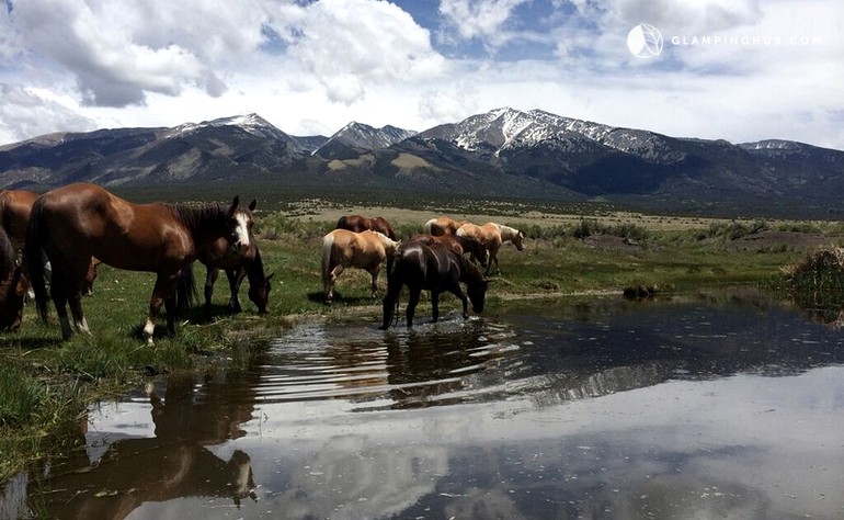 Family Dude Ranch Vacations Colorado
