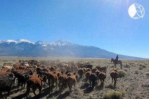 Family Dude Ranch Vacations Colorado