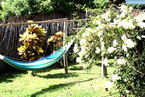 Luxury Beach Cabanas in Sri Lanka | Glamping in Sri Lanka