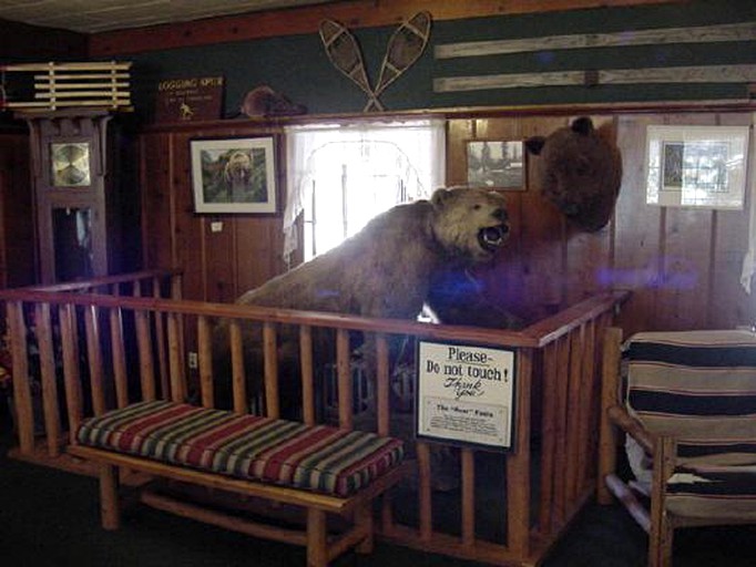 Strawberry Lodge, Nature Lodges 42866, Kyburz, United States of America ...