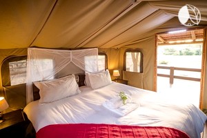 Safari Tents in South Africa