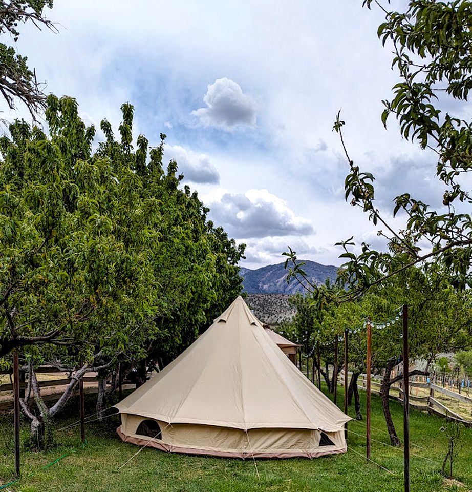 Glamping Bell Tent | Sutcliffe Vineyard | Cortez, Colorado | Glamping Hub