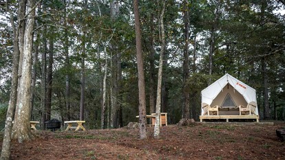 Rent a Cabin near Homochitto National Forest | Mississippi Glamping